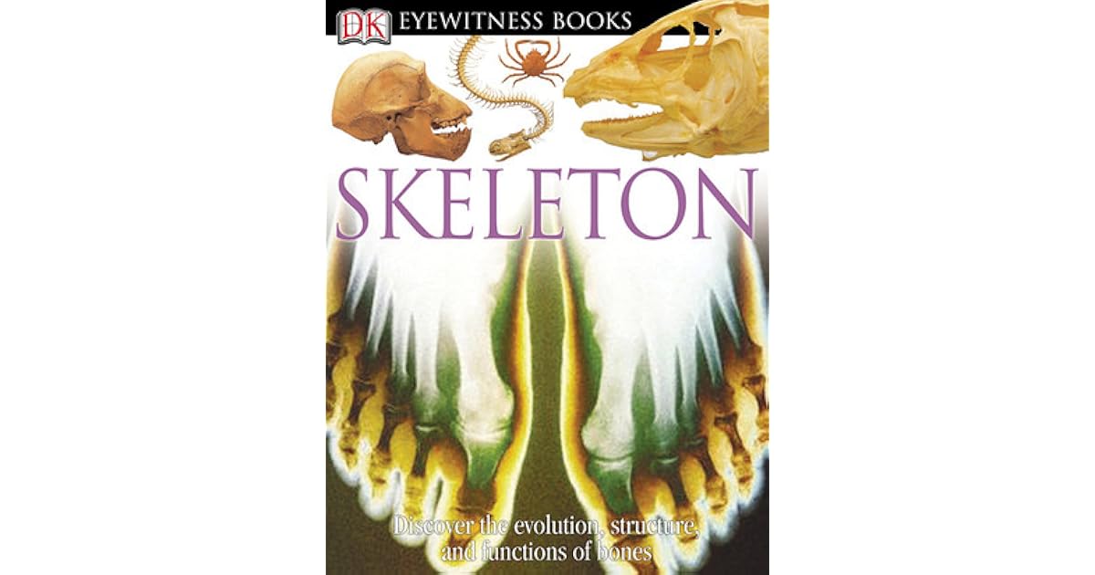 Skeleton by Steve Parker