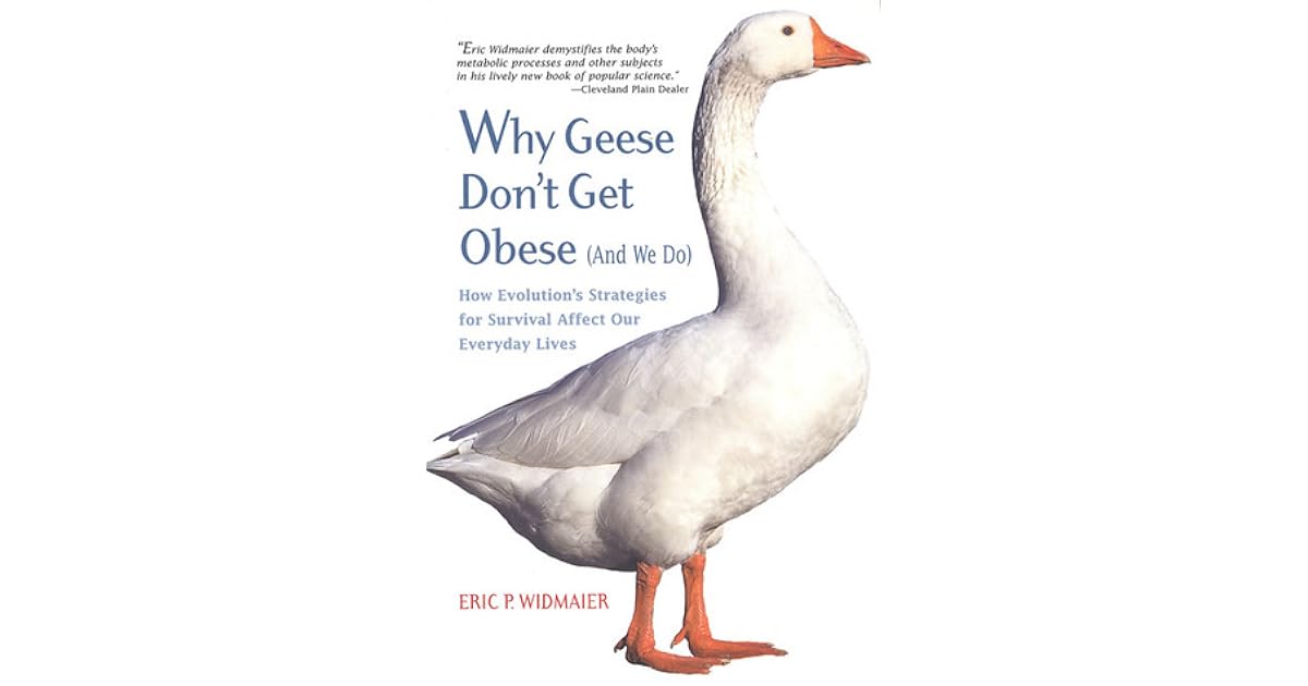 Why Geese Don't Get Obese (And We Do): How Evolution's Strategies for ...