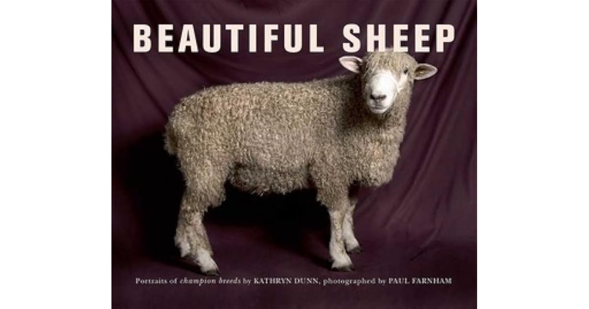 Beautiful Sheep: Portraits of Champion Breeds by Kathryn Dun