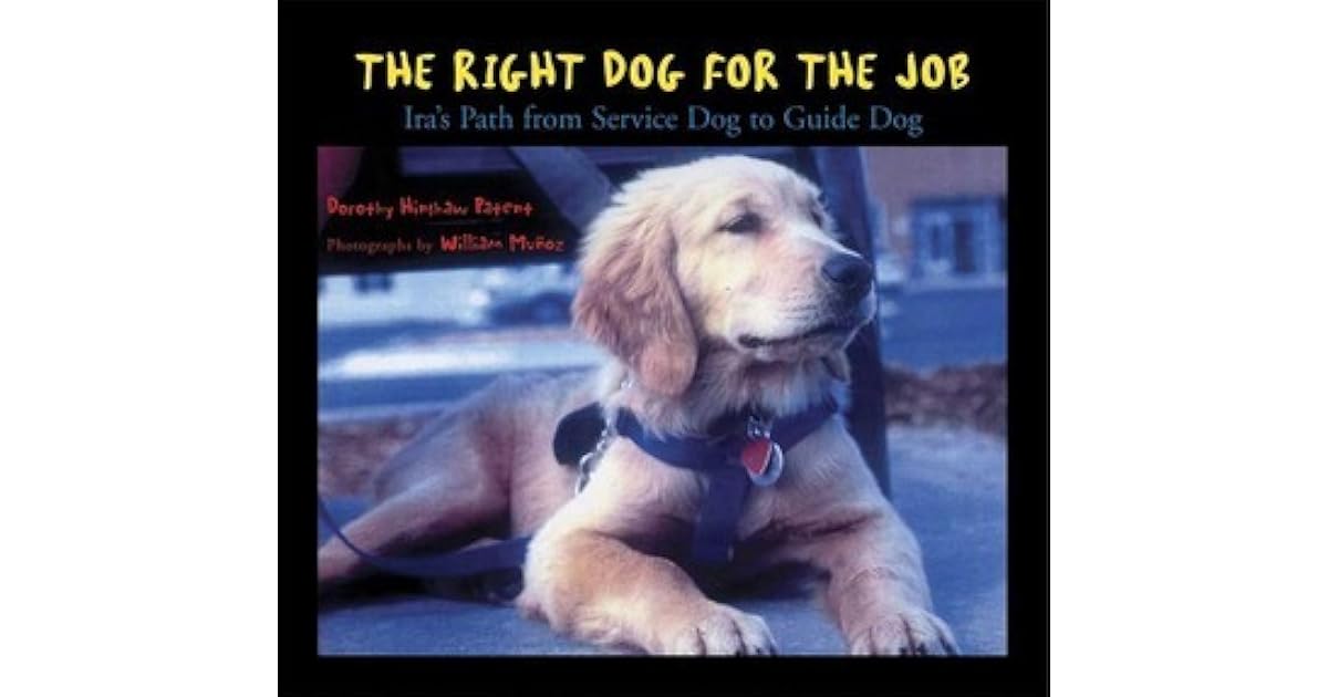 The Right Dog for the Job: Ira's Path from Service Dog to Guide Dog by ...