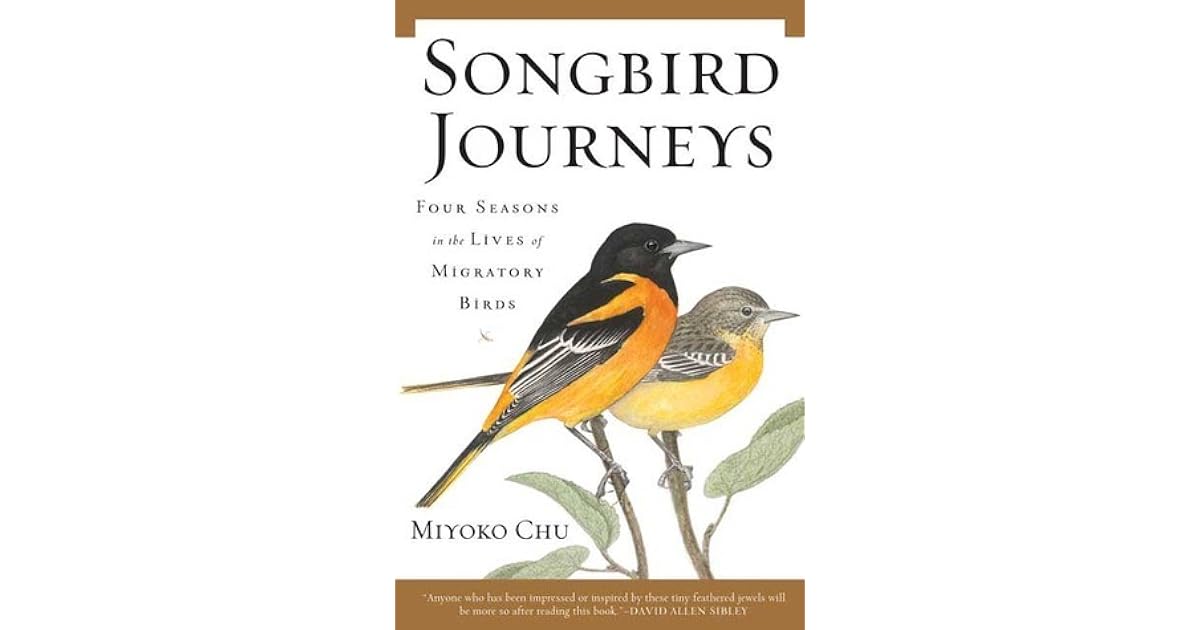 Songbird Journeys: Four Seasons in the Lives of Migratory Birds by ...