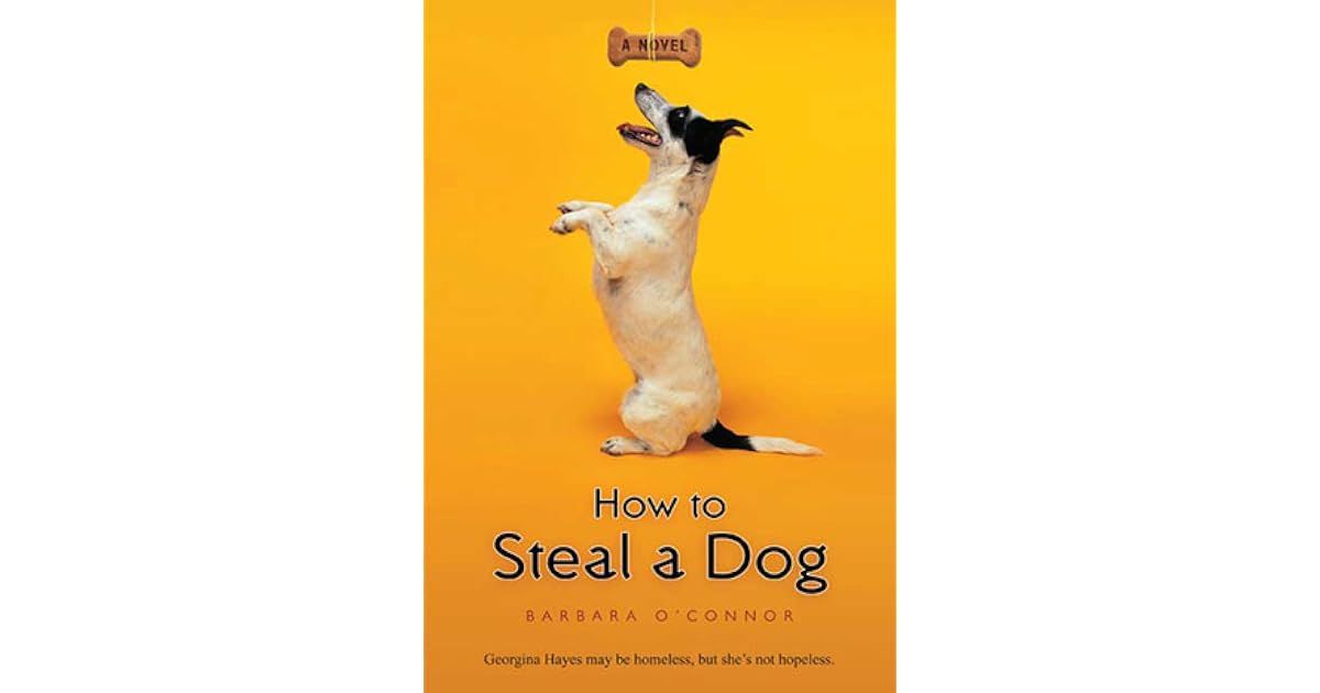 How to Steal a Dog by Barbara O'Connor