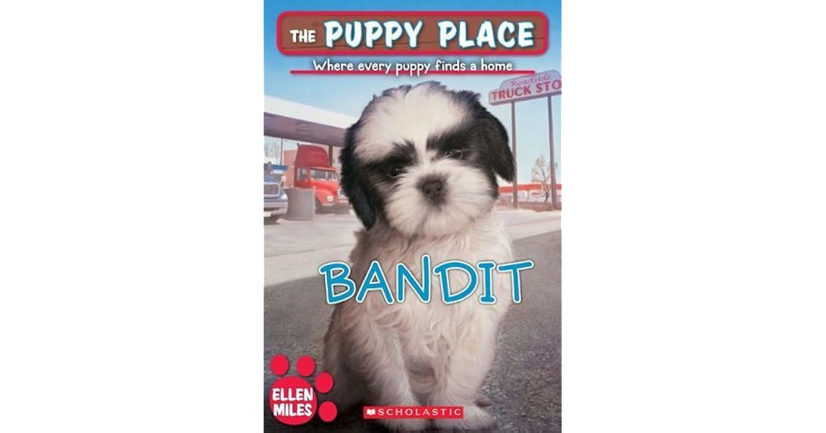 Bandit (The Puppy Place, #24) by Ellen Miles