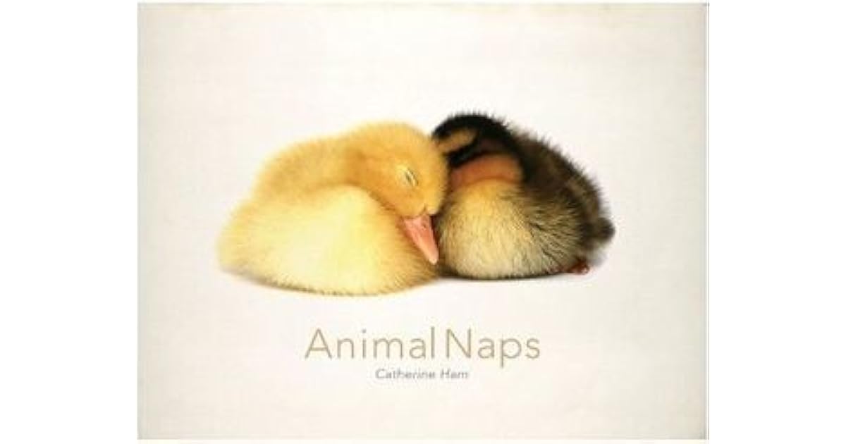 Animal Naps by Catherine Ham