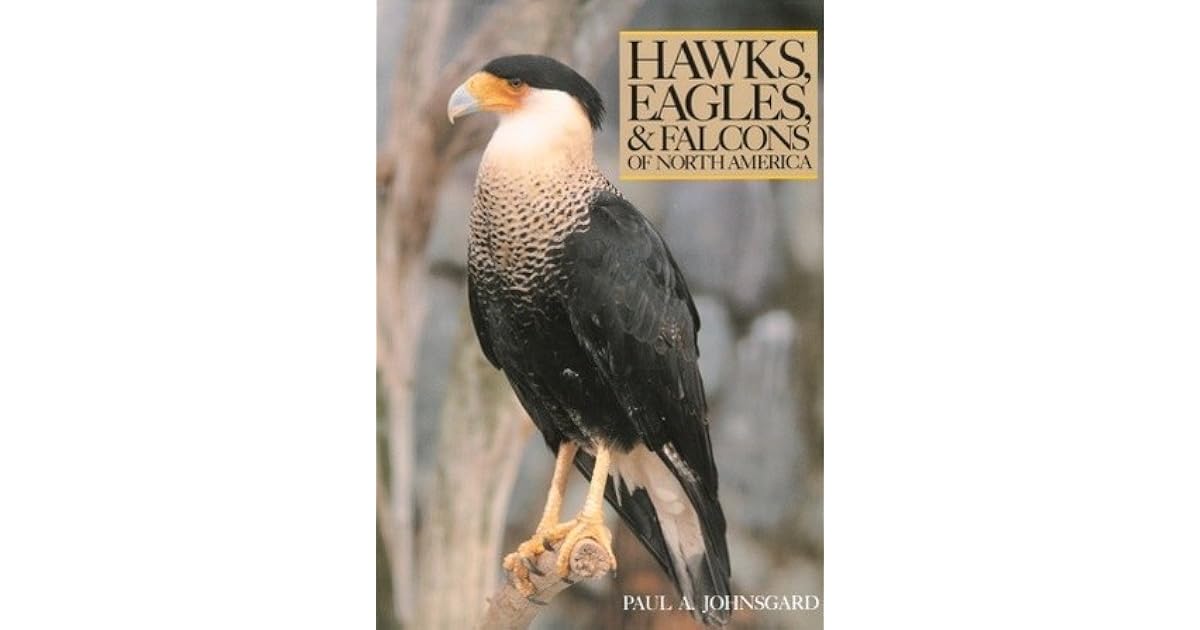Hawks, Eagles, and Falcons of North America: Biology and Natural ...
