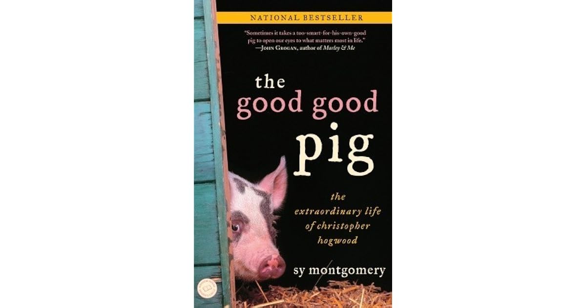 The Good Good Pig: The Extraordinary Life of Christopher Hogwood by Sy ...