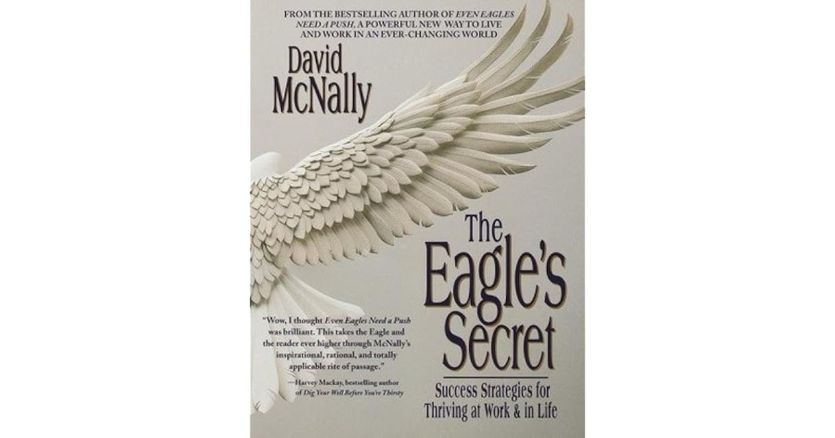 The Eagle's Secret by David McNally