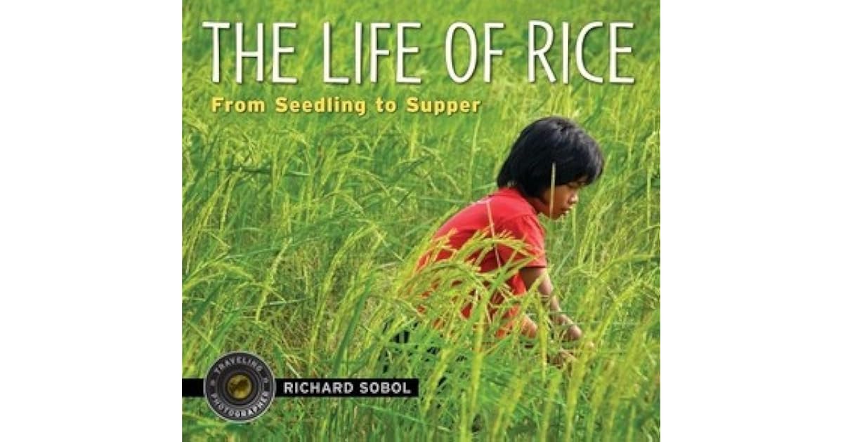 The Life of Rice: From Seedling to Supper by Richard Sobol