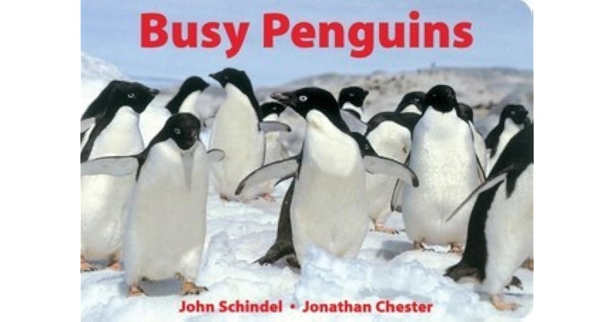 Busy Penguins by John Schindel