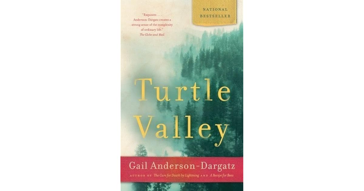 Turtle Valley by Gail Anderson-Dargatz
