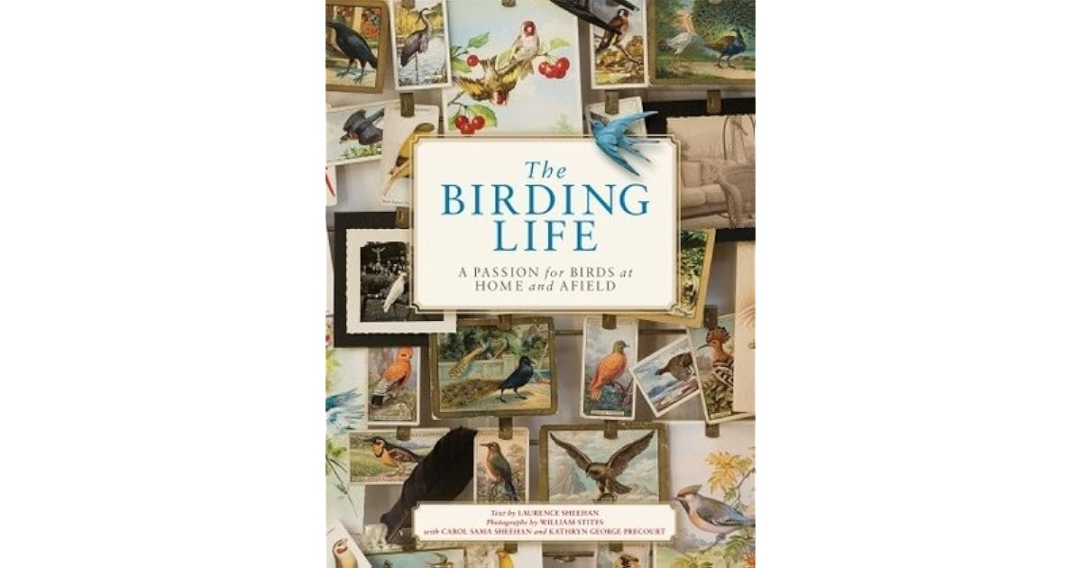 The Birding Life: A Passion for Birds at Home and Afield by Larry Sheehan