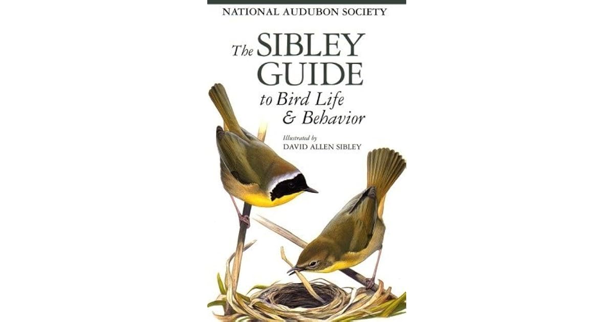 The Sibley Guide to Bird Life & Behavior by David Allen Sibley