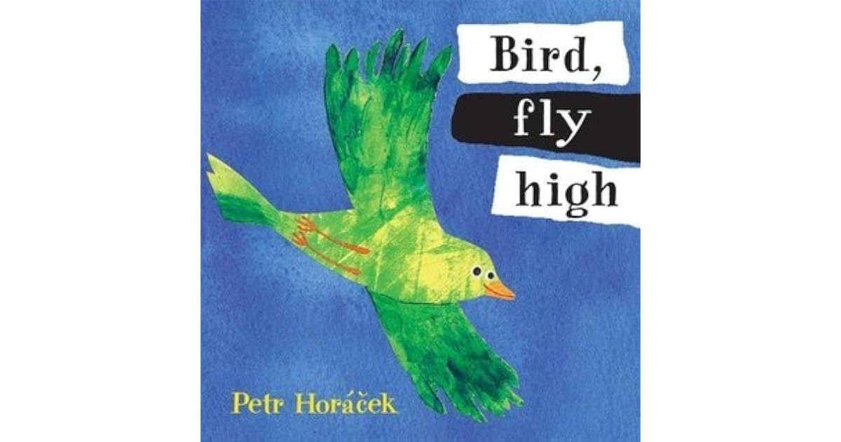 Bird, Fly High by Petr Horáček