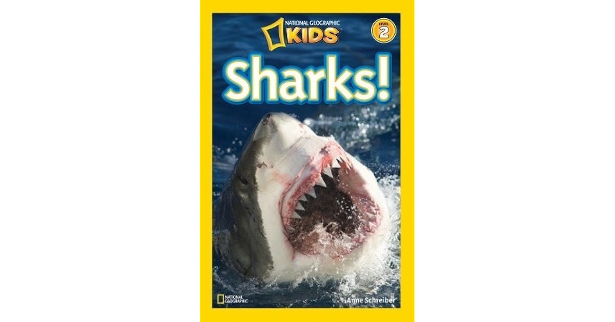 Sharks! by Anne Schreiber