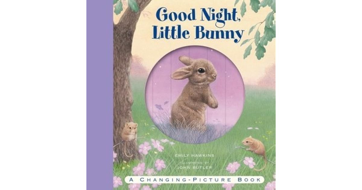 Good Night, Little Bunny: A Changing-Picture Book by Emily Hawkins