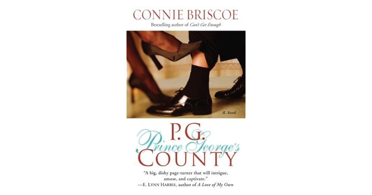 P.G. County by Connie Briscoe