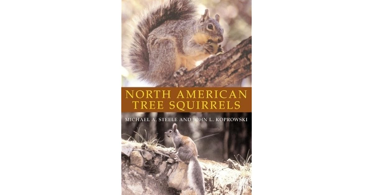 North American Tree Squirrels by Michael A. Steele