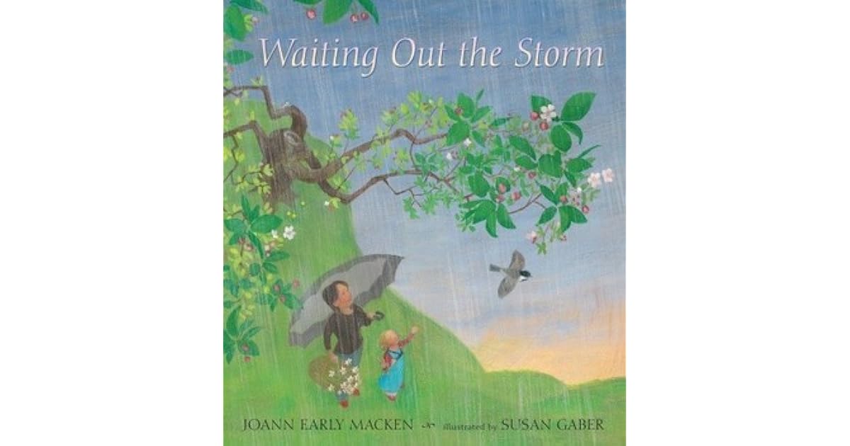 Waiting Out the Storm by JoAnn Early Macken