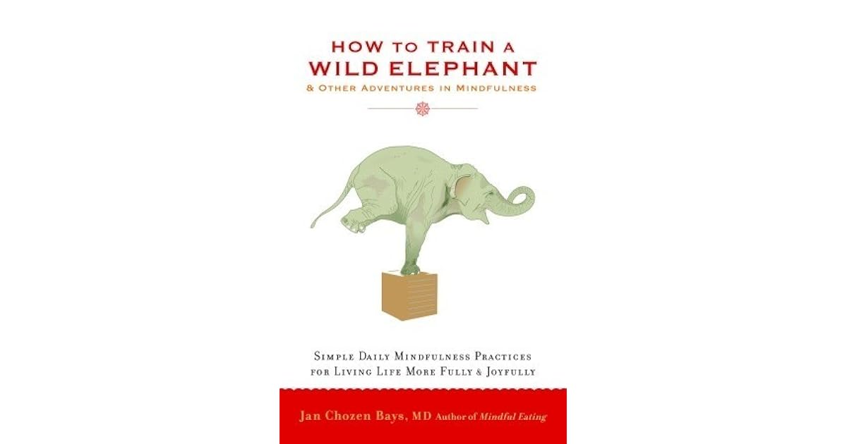 How to Train a Wild Elephant: And Other Adventures in Mindfulness by ...