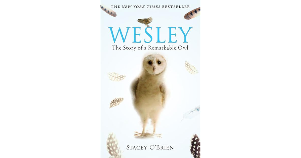 Wesley: The Story of a Remarkable Owl by Stacey O'Brien