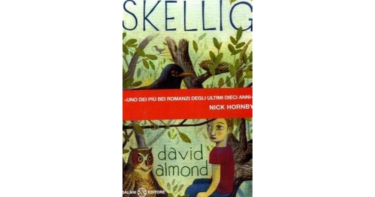Skellig by David Almond