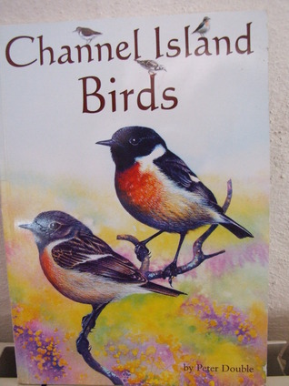 Channel Island birds by Peter Double