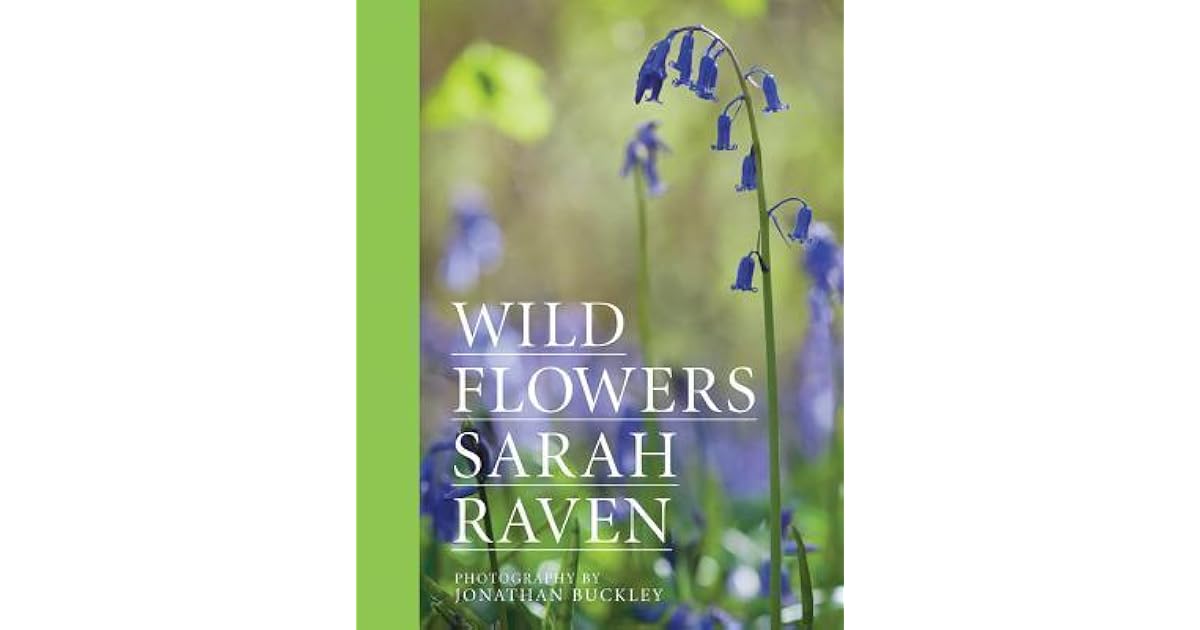 Wild Flowers by Sarah Raven