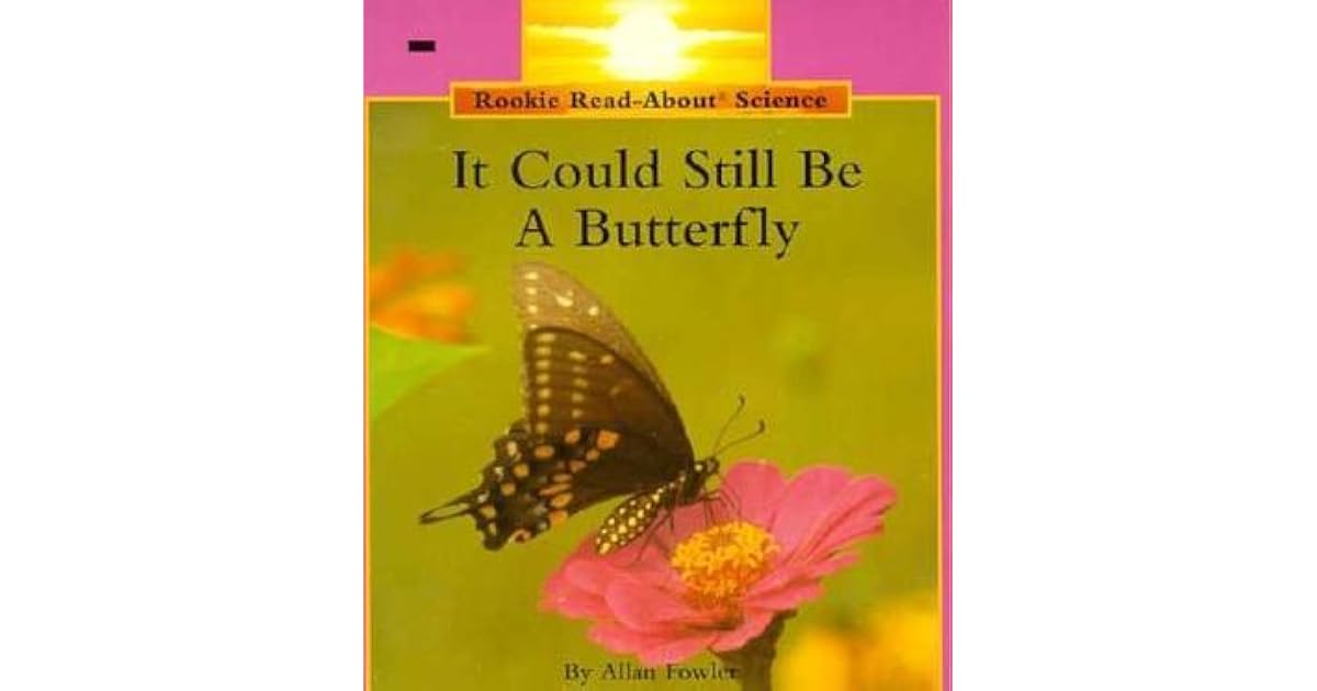 It Could Still Be a Butterfly by Allan Fowler