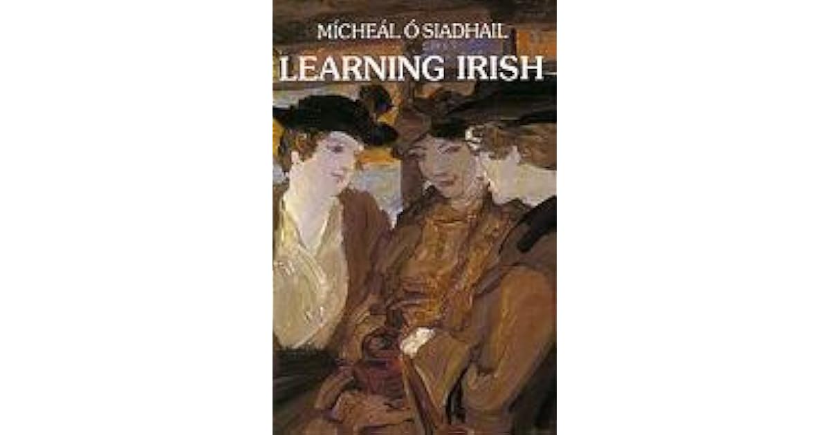 Learning Irish: An Introductory Self-Tutor by Mícheál Ó Siadhail