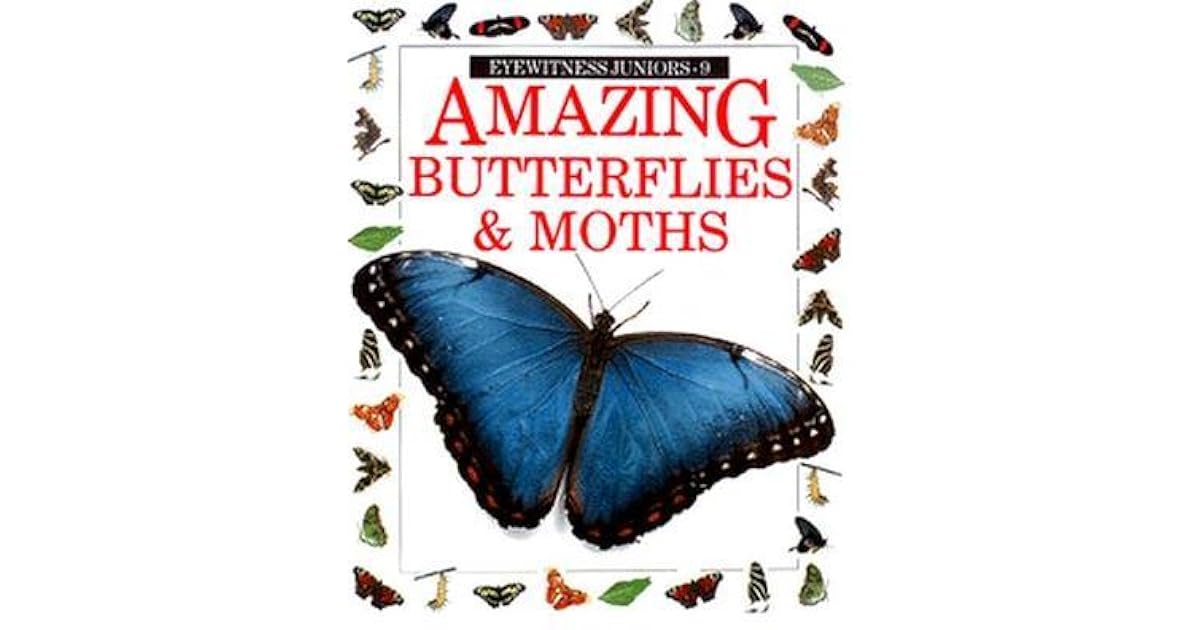 Amazing Butterflies and Moths by John Still