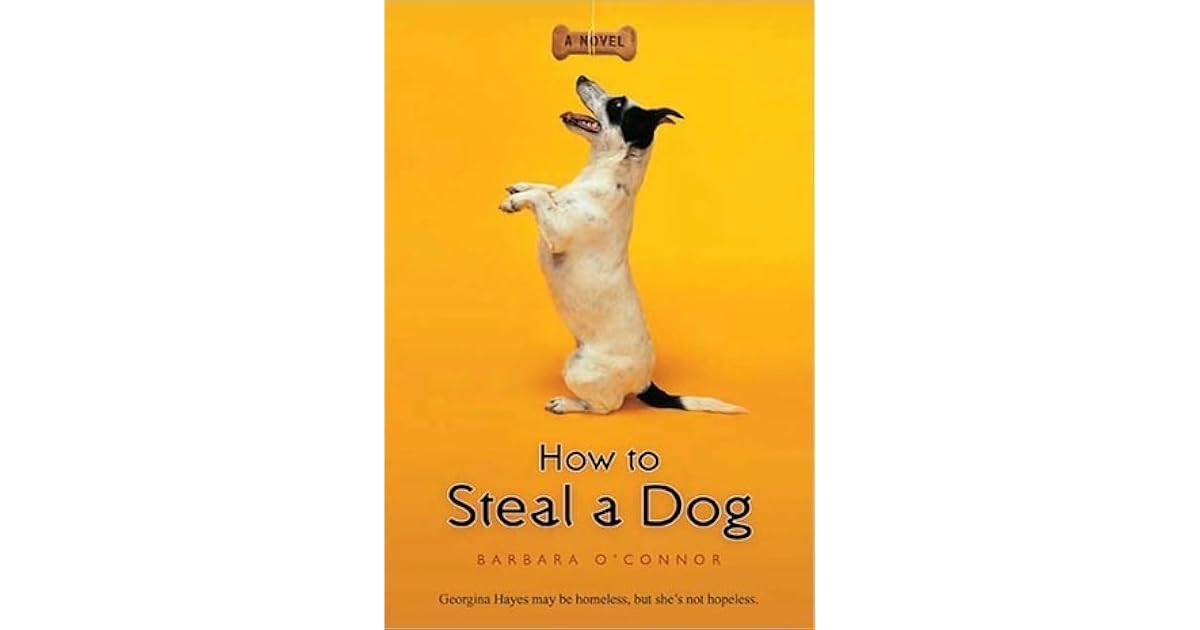 How to Steal a Dog by Barbara O'Connor