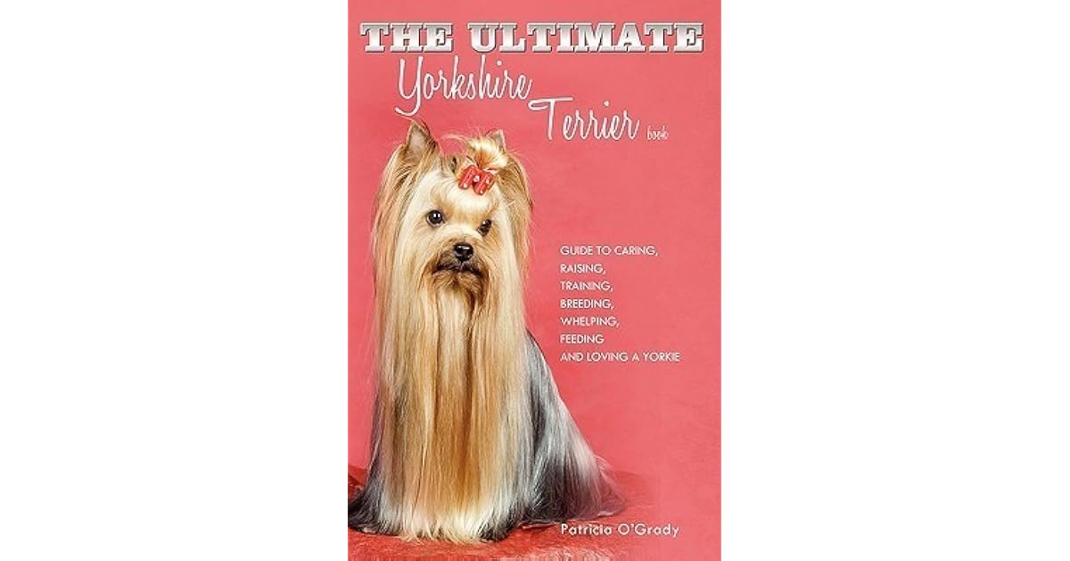The Ultimate Yorkshire Terrier Book: Guide To Caring, Raising, Training ...