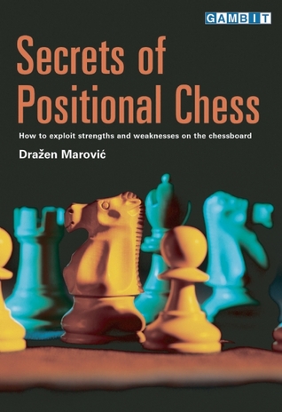 Secrets of Positional Chess by Drazen Marovic
