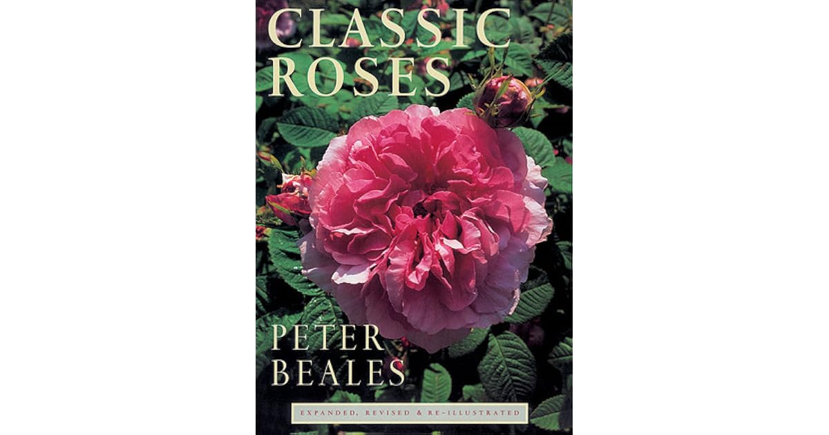 Classic Roses by Peter Beales