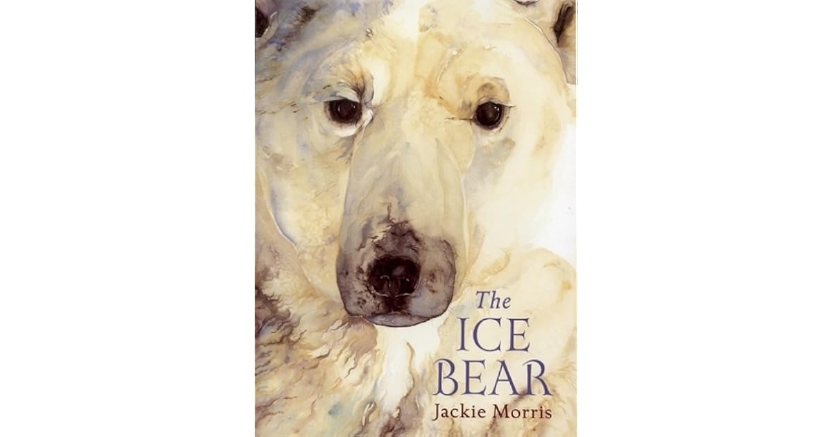 The Ice Bear by Jackie Morris