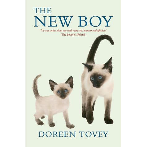 The New Boy by Doreen Tovey — Reviews, Discussion, Bookclubs, Lists