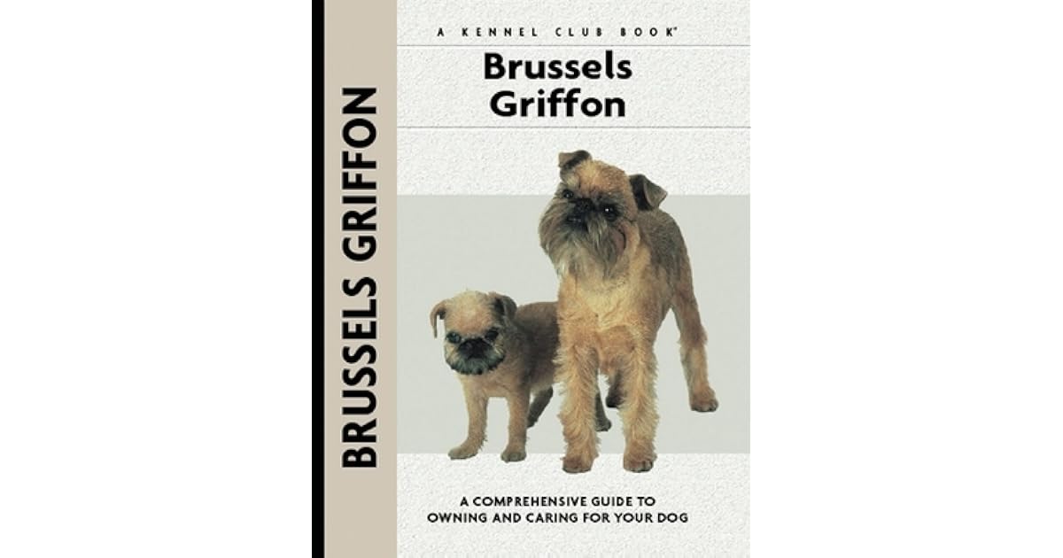 Brussels Griffon by Juliette Cunliffe
