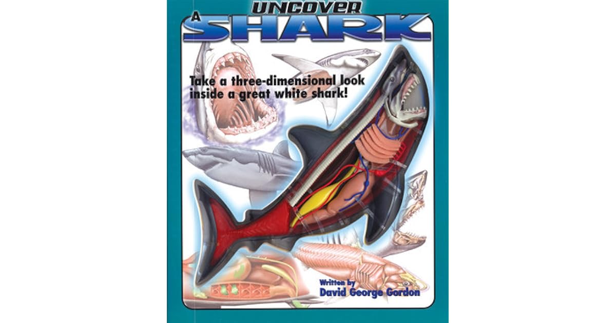 Uncover a Shark (An Uncover It Book) by David George Gordon