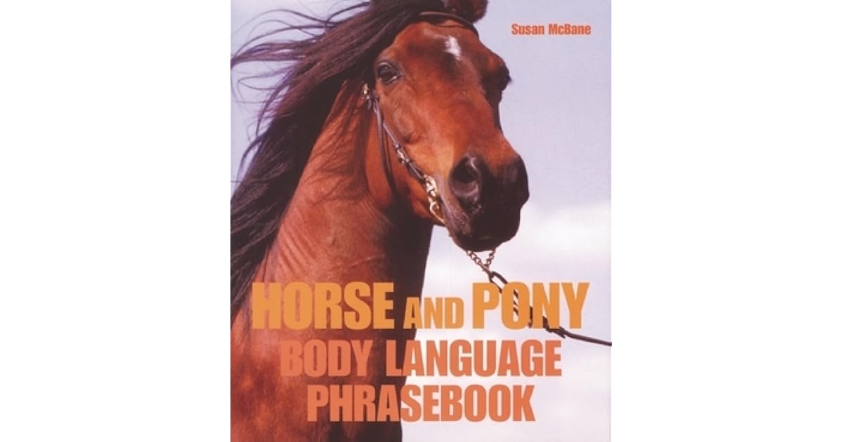 Horse and Pony Body Language Phrasebook by Susan McBane