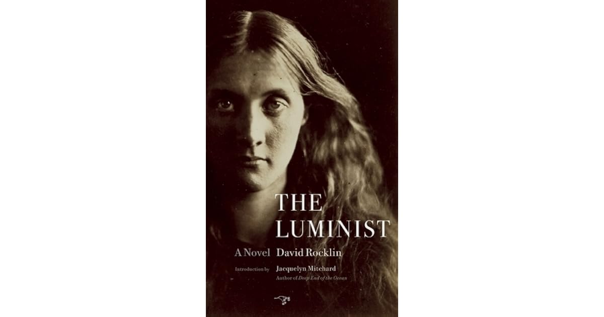 The Luminist by David Rocklin