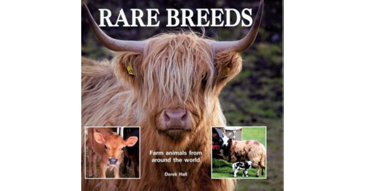Rare Breeds: Farm Animals from Around the World by Derek Hall