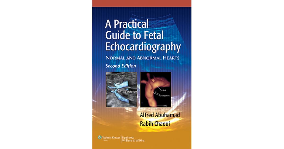 A Practical Guide to Fetal Echocardiography: Normal and Abnormal Hearts by Alfred Z. Abuhamad