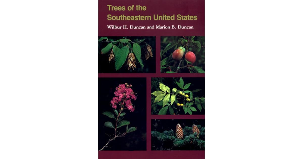 Trees of the Southeastern United States by Wilbur H. Duncan