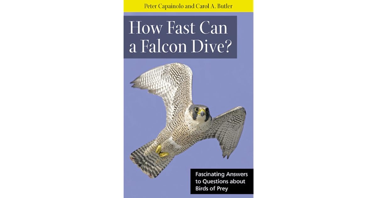 How Fast Can a Falcon Dive?: Fascinating Answers to Questions about ...