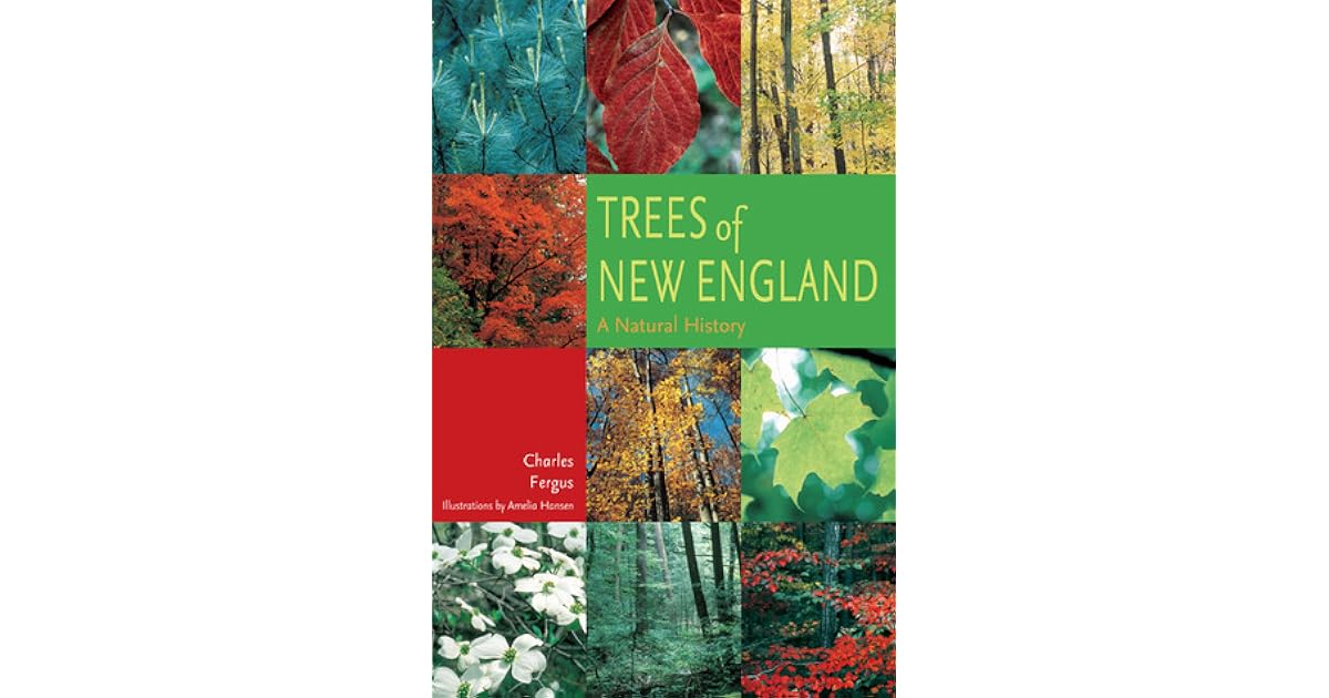 Trees of New England: A Natural History by Charles Fergus
