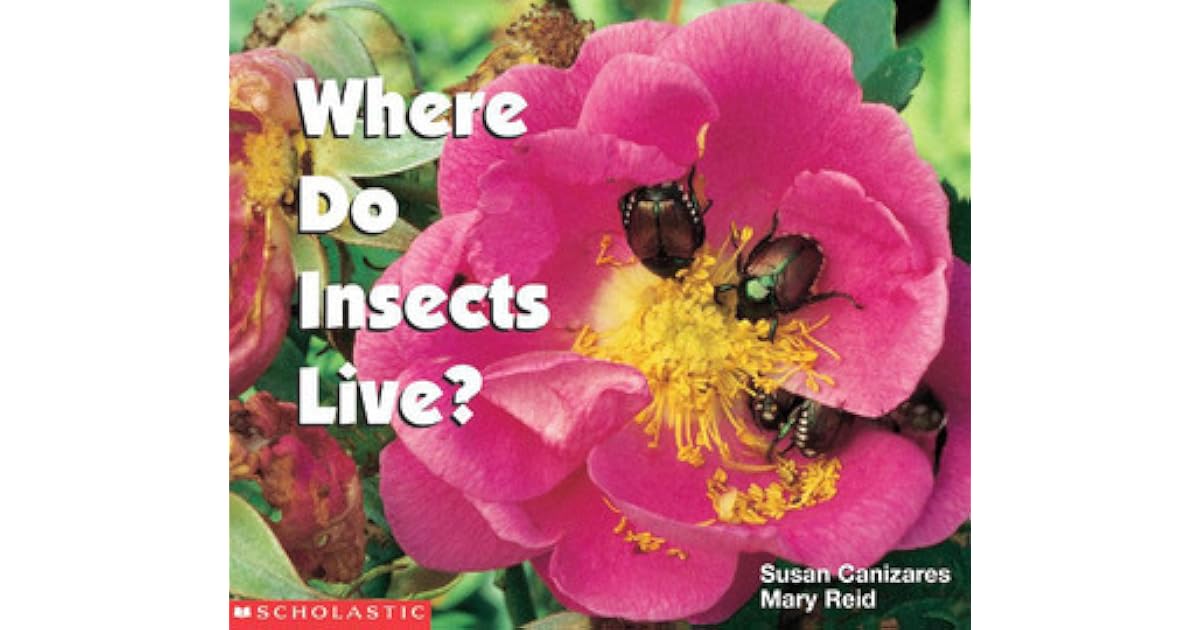 Where Do Insects Live? by Susan Cañizares