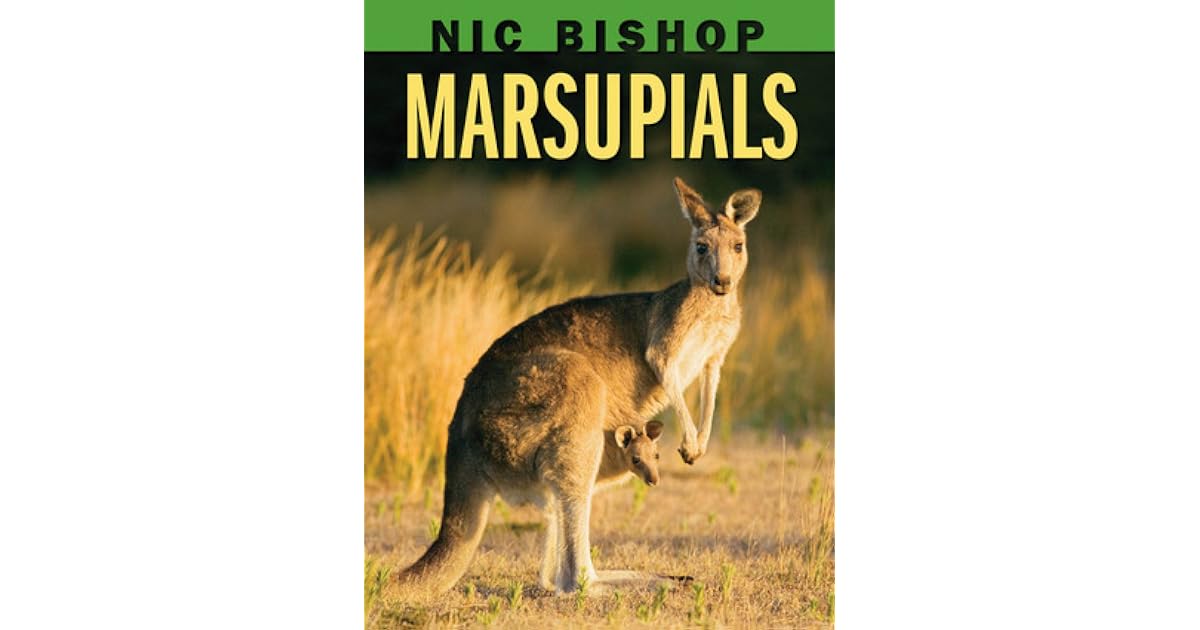 Marsupials by Nic Bishop