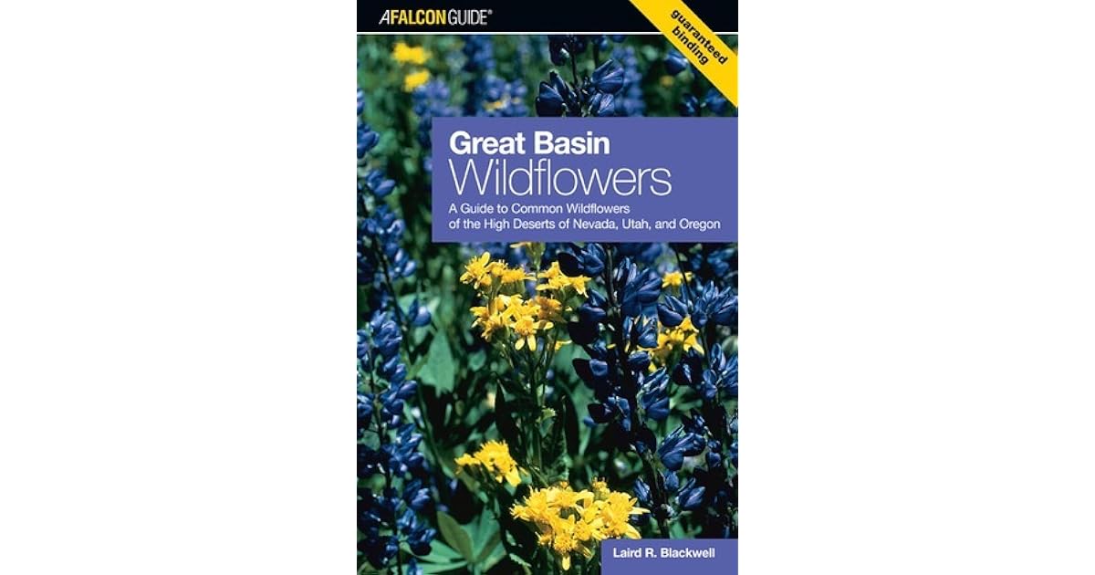 Great Basin Wildflowers: A Guide to Common Wildflowers of the High ...
