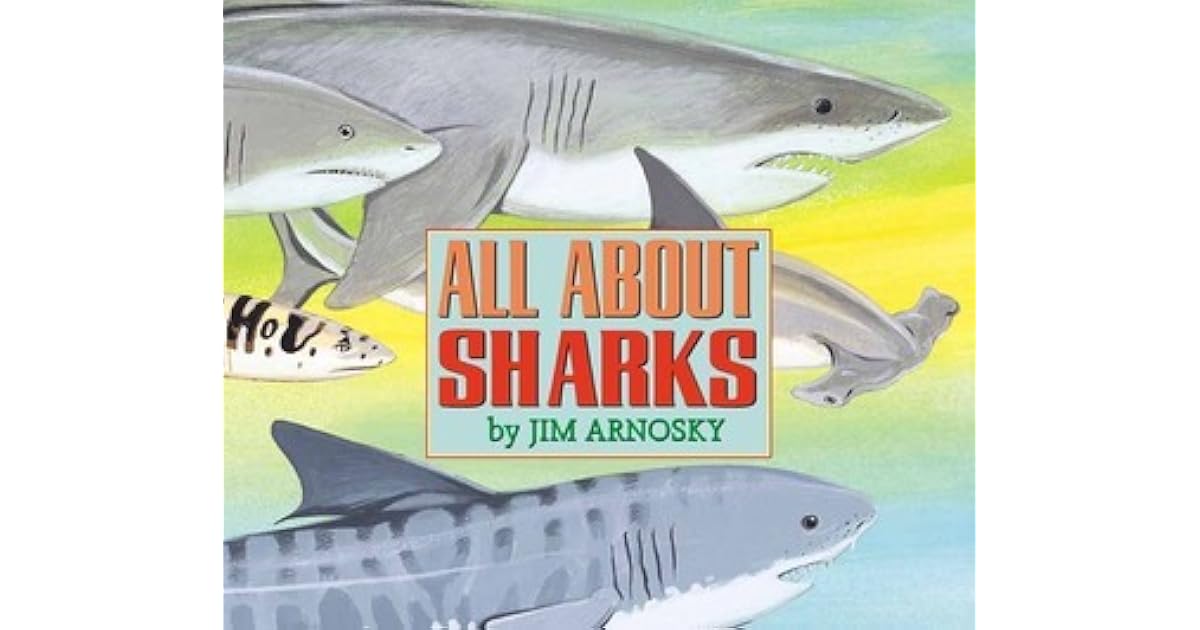 All About Sharks by Jim Arnosky