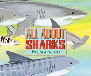 All About Sharks by Jim Arnosky